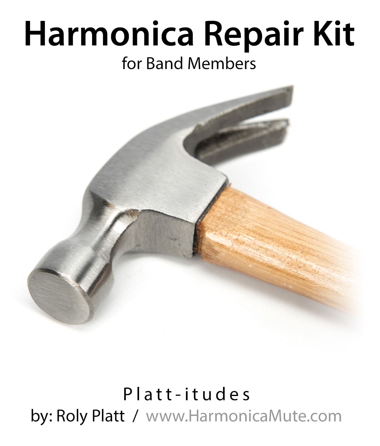 Harmonica Repair Kit - How to Repair harmonicas